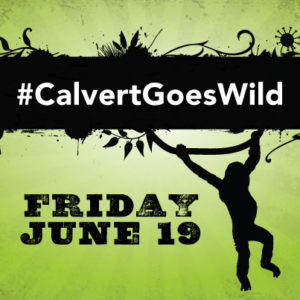 Calvert Archives - Calvert Education